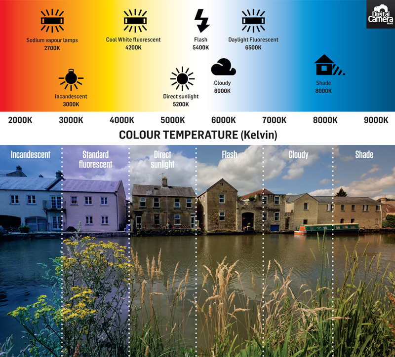 Intro to Digital Photography by Curt Bowen